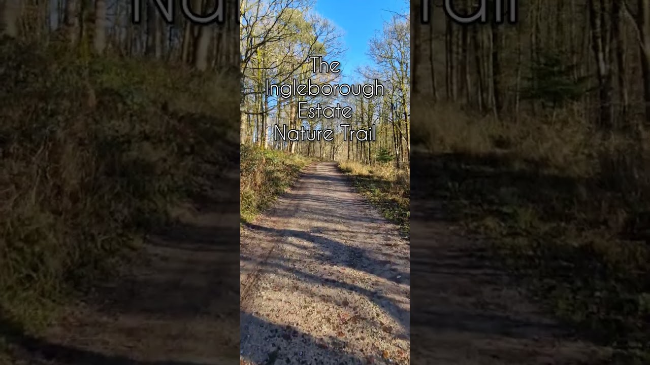 A woodland walk through the Ingleborough Estate Nature Trail